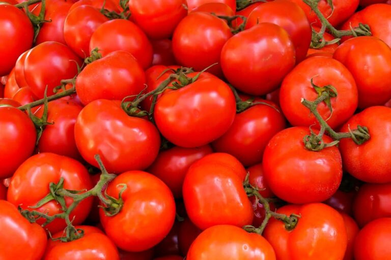 Tomatoes | Pros vs Cons
