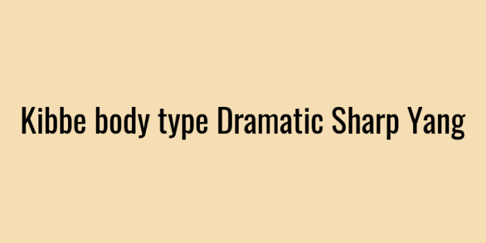 Kibbe body type Dramatic Sharp Yang | Pros vs Cons